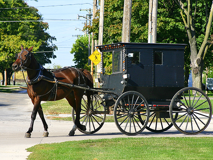 Where modern roads meet timeless tradition: an Amish buggy reminds visitors they've entered Arthur's distinctive cultural crossroads.