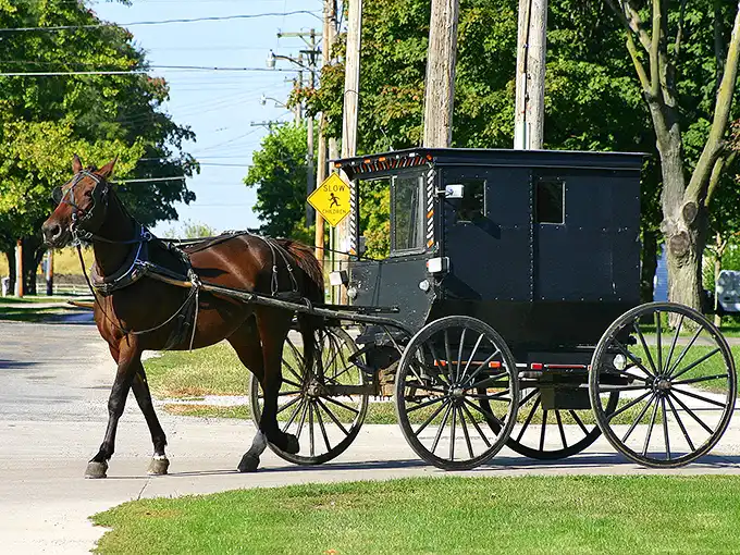 Where modern roads meet timeless tradition: an Amish buggy reminds visitors they've entered Arthur's distinctive cultural crossroads.