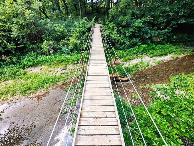 The suspension bridge at Konza Prairie isn't just a crossing—it's nature's way of saying "the adventure starts now." Wooden planks lead you into a verdant wonderland.