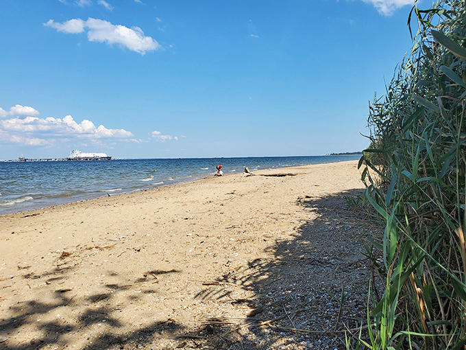 Nature's own sculpture gallery where sandy shores meet gentle waves, creating a beach experience that's part geological wonder, part treasure hunt.
