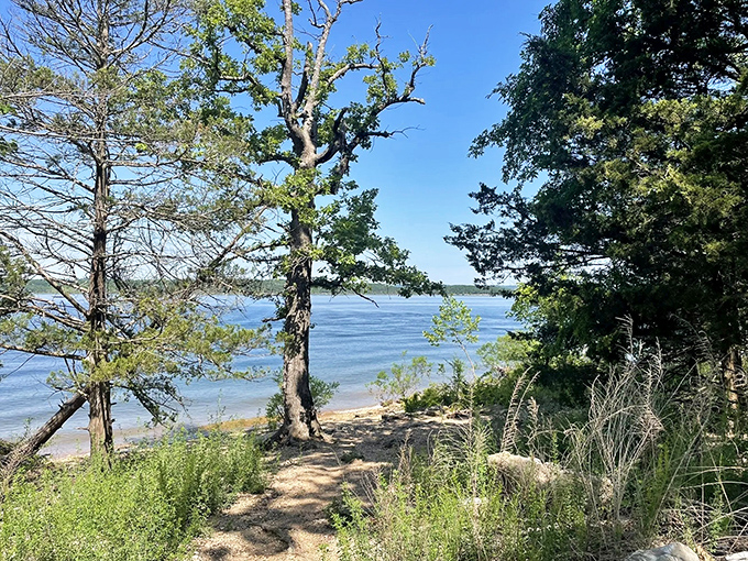 Nature's perfect balance of accessibility and beauty. A paved pathway curves gently alongside the crystalline waters of Table Rock Lake, inviting explorers of all abilities.