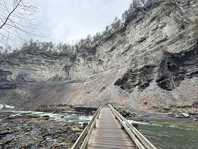 Mother Nature's grand amphitheater features a 215-foot waterfall plunging into a limestone basin—proof that New York's most impressive skyscrapers aren't all in Manhattan.