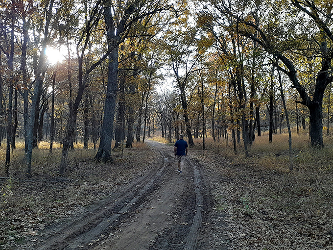 The serene view at Osage Hills offers nature's own version of meditation—just add fishing pole and subtract deadlines. Pure Oklahoma tranquility.