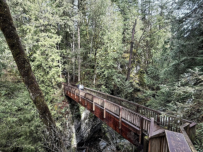 The trail beckons with its rustic wooden railings, like nature's version of the yellow brick road—only greener, mossier, and with significantly fewer munchkins.