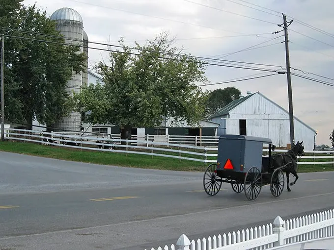Where horse-drawn buggies and modern vehicles share the road in perfect harmony. A typical scene in Intercourse, where time moves at its own gentle pace.