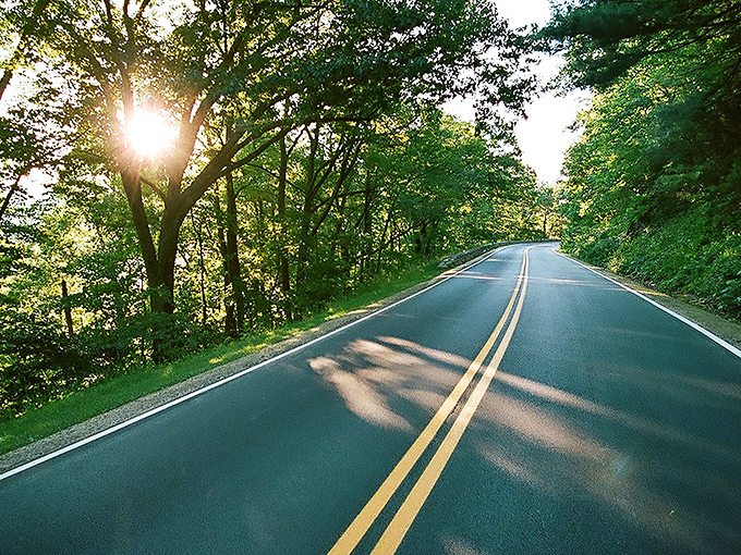 Winding through a cathedral of trees, Skyline Drive's curves aren't just roads—they're narrative arcs in nature's greatest story. Pure Virginia magic at 35 mph.