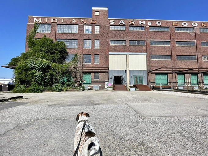 The brick facade of this former Sash & Door factory doesn't just whisper history—it practically shouts it through industrial-sized windows and loading docks.