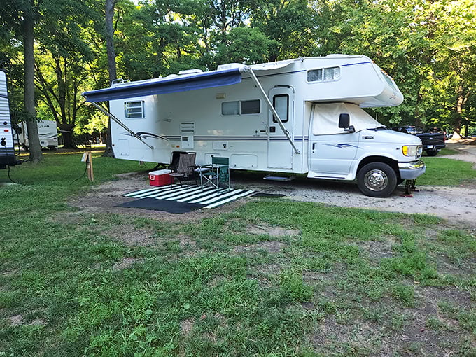 Nothing says "welcome to the great outdoors" quite like a campsite framed by leave sentinels and the promise of s'mores over an open fire.