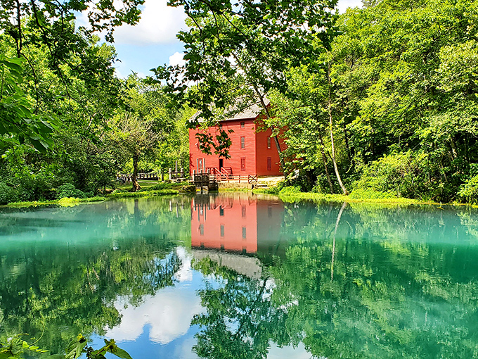 Spacious campsites nestled among graceful trees – nature's version of five-star accommodations without the mint on your pillow or the bill.