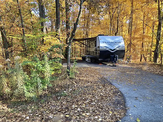 Home sweet temporary home! This spacious campsite offers the perfect blend of wilderness and comfort, complete with a turquoise picnic setup that screams "vacation mode activated."