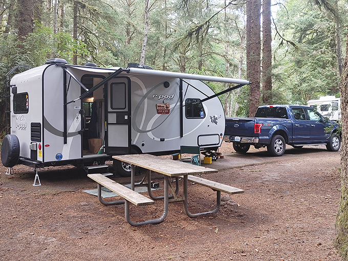 Camping nirvana achieved! A perfectly situated truck camper nestled among towering pines, with camp chairs awaiting stories around the fire ring.