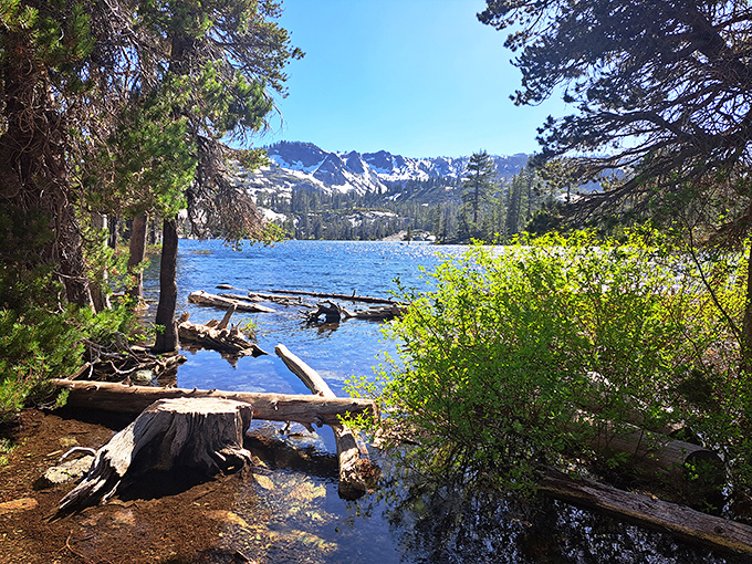 Mother Nature showing off again! Crystal blue waters mirror the majestic Sierra peaks, creating a postcard moment that no filter could improve.