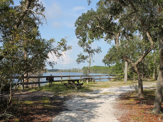 Nature's mirror: The Ochlockonee River reflects the sky like a giant, watery selfie stick. Florida's hidden gem serves up serenity with a side of breathtaking views.
