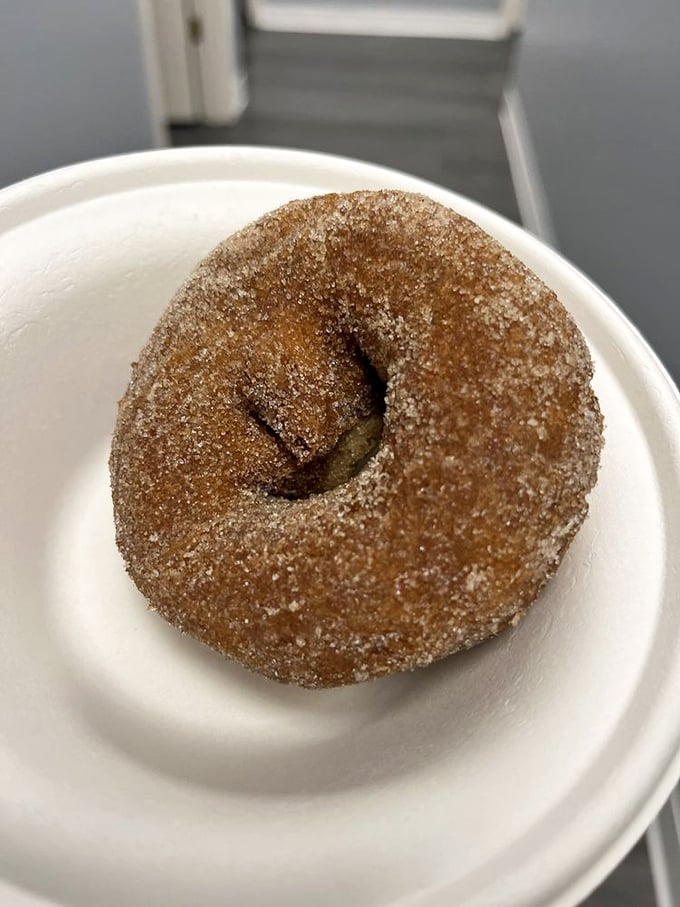 The cinnamon-sugar coated dream team. This apple cider donut isn't just a treat—it's what happiness would look like if it took solid form.