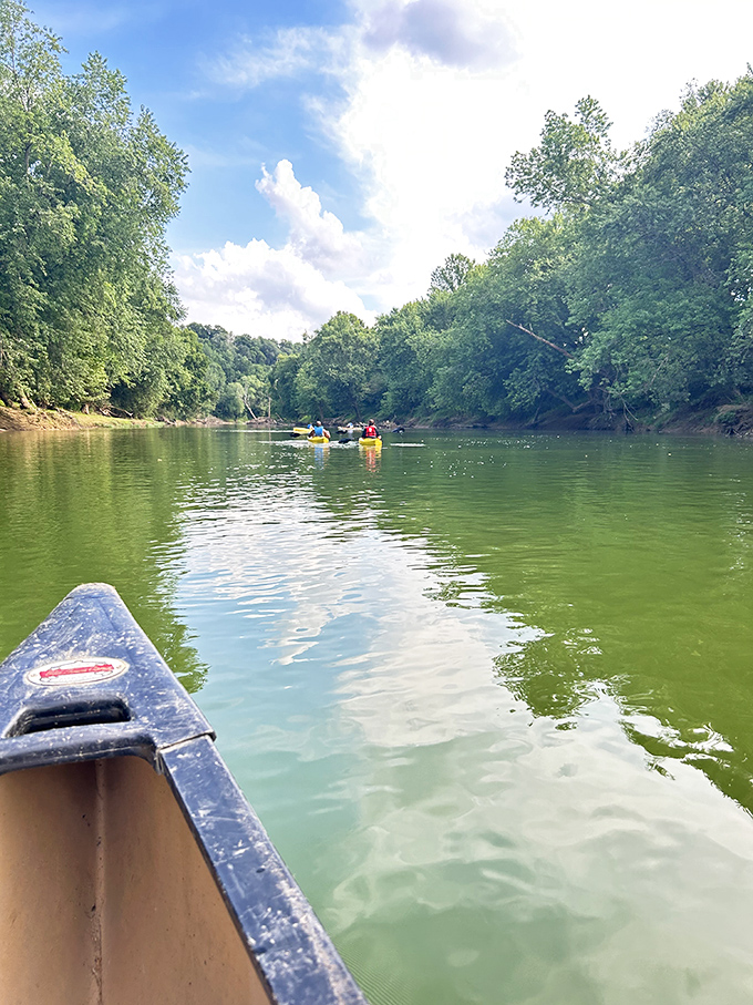 Canoeing the Green River offers front-row seats to Kentucky's natural splendor. The water moves at the perfect pace – just fast enough to be interesting, slow enough to be peaceful.