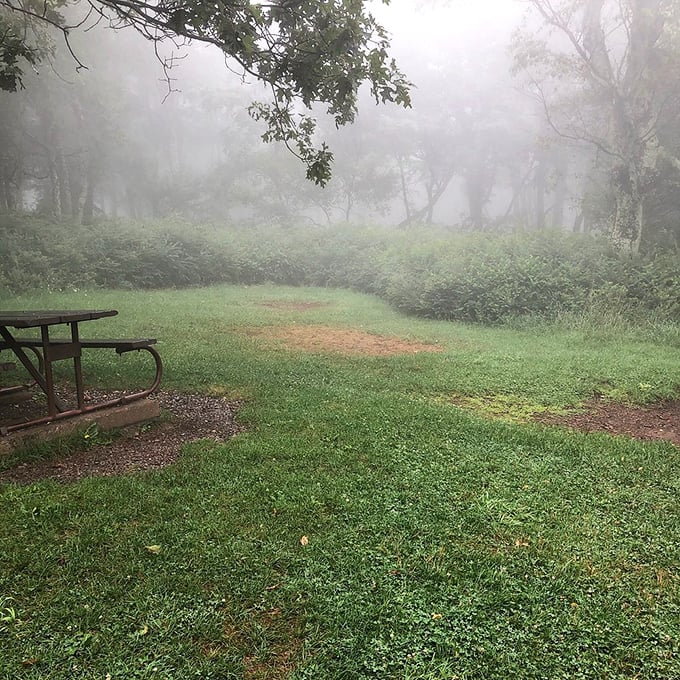 Morning fog transforms ordinary campsites into mystical realms. This isn't camping weather—it's the setting for every great ghost story ever told.