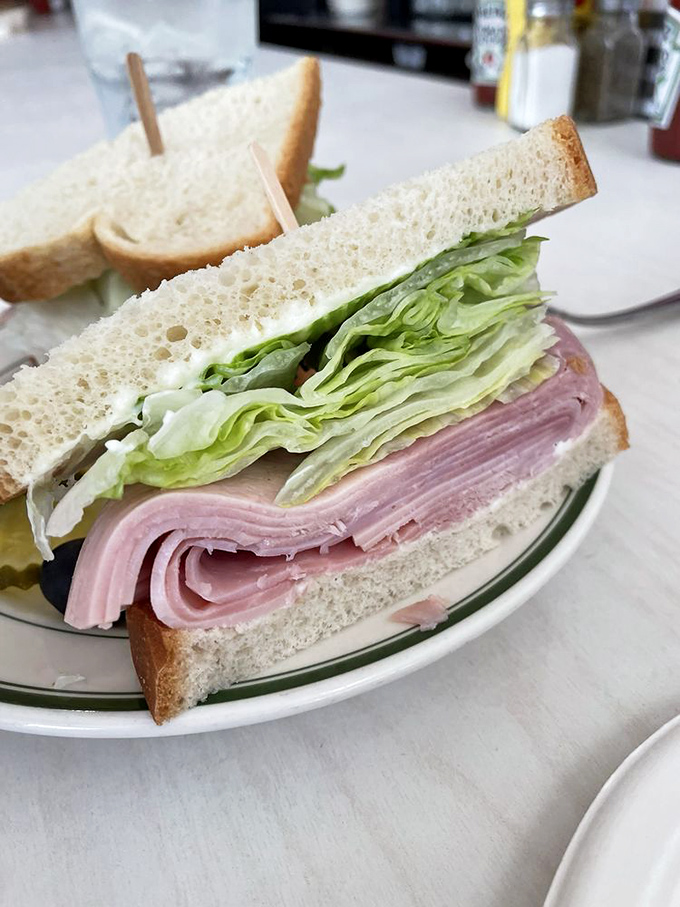 The Southern Baked Ham sandwich stands tall and proud, with layers that would make a geological survey team excited. Stratified deliciousness.