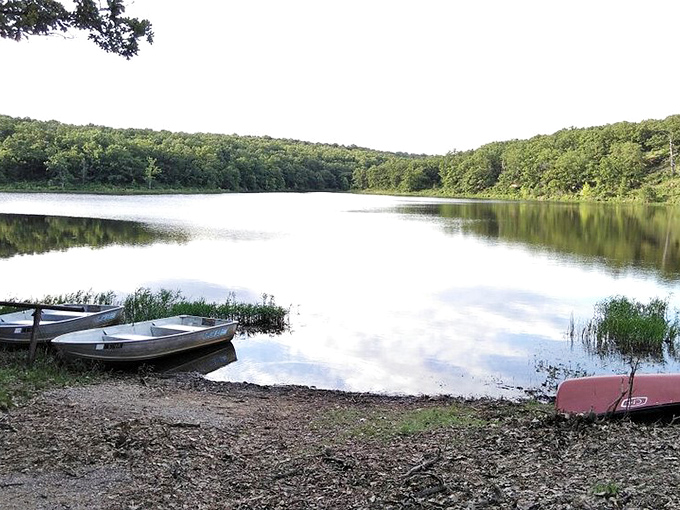 These humble boats await their next fishing expedition. No fancy motors here—just you, the water, and the promise of a good catch.