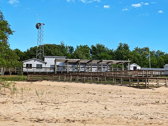 The island's rustic facilities might not win architectural awards, but they offer something far more valuable—a gateway to unspoiled nature.