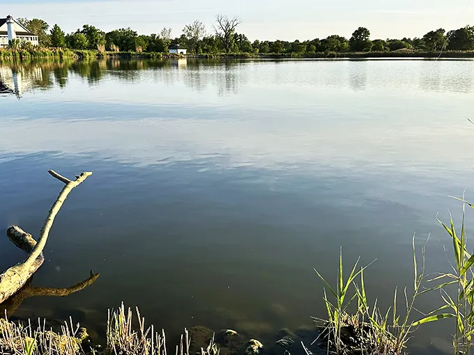 Where sky meets water in perfect stillness. The kind of view that makes you forget your phone exists.