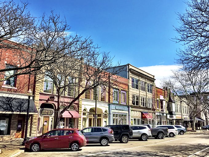 Holland combines cultural charm with practical Midwestern sensibility – your Social Security check goes further here than wooden shoes ever did.