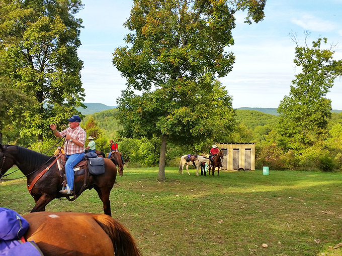 Horseback riding through Ozark meadows – when was the last time your commute involved saddles instead of seatbelts?