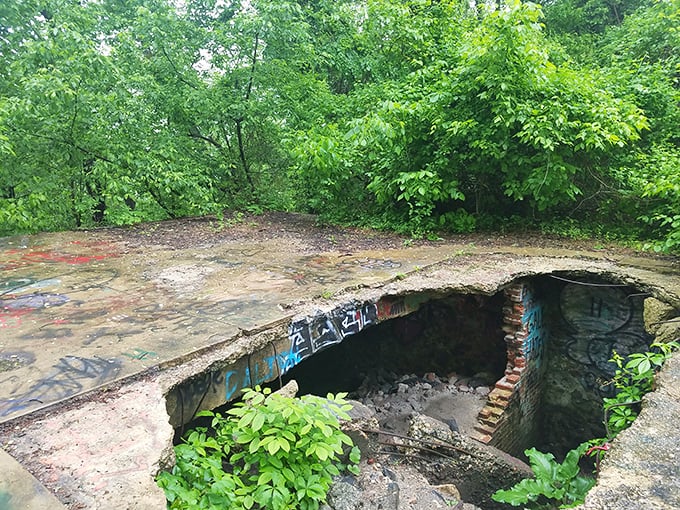 Urban explorers call this "the pit"—a basement area where sunlight filters through to illuminate decades of abandonment and artistic expression.
