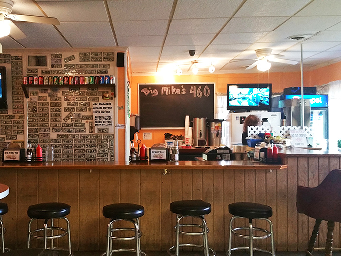 Where burger magic happens—dollar bills on the wall tell stories of satisfied customers who've pledged allegiance to Big Mike's.
