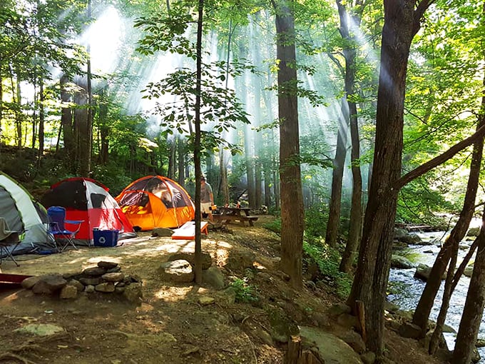 Morning sunbeams slice through the forest canopy like nature's own spotlight system, turning an ordinary campsite into something straight out of a fairy tale.