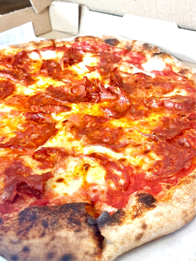 Even in a pasta palace, this pizza demands attention—perfectly charred crust supporting a landscape of melty cheese and savory toppings.