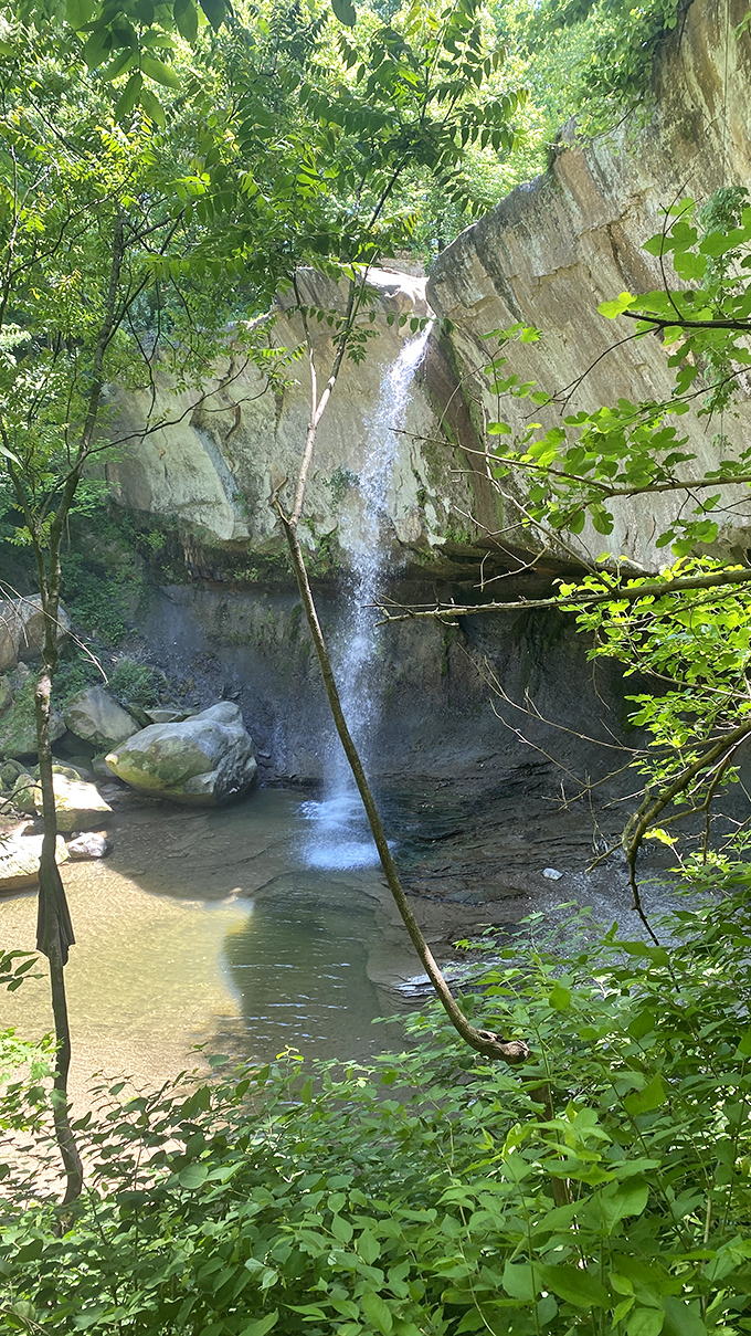 Nature's curtain call between ancient limestone walls. The falls appear delicate yet powerful, like a ballet dancer with unexpected strength.