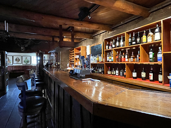 Not just a bar but a time machine with liquor licenses. The wooden counter has heard more Colorado tales than a park ranger on overtime.