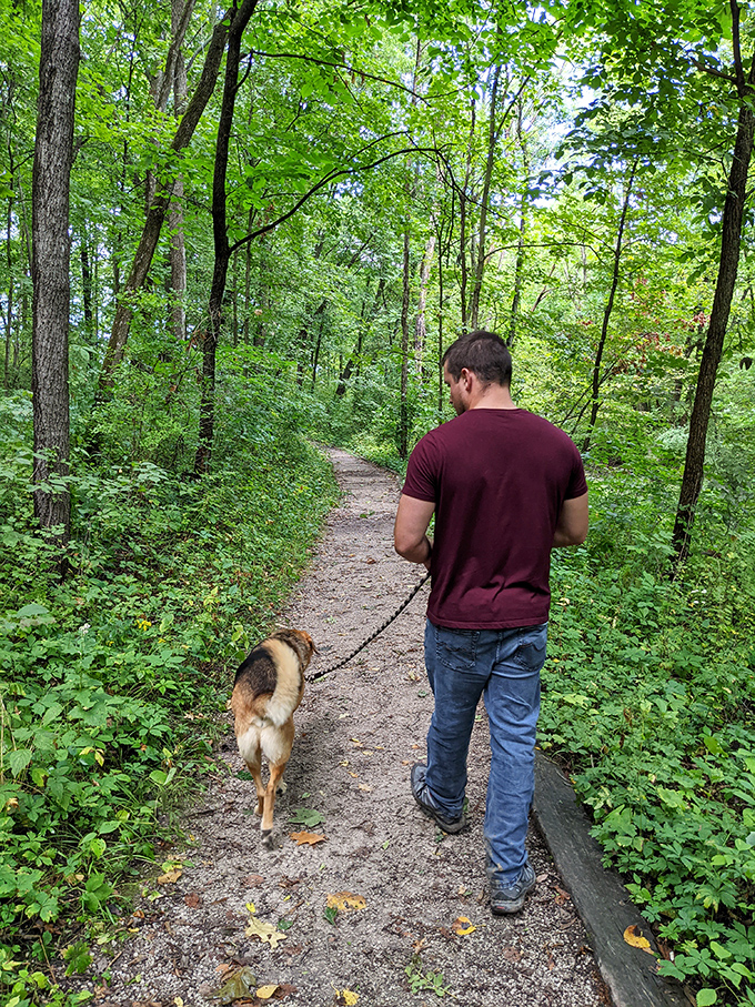 Man's best friend gets to enjoy man's best trails. Dogs appreciate good hiking paths too, they just express it with more tail wagging.