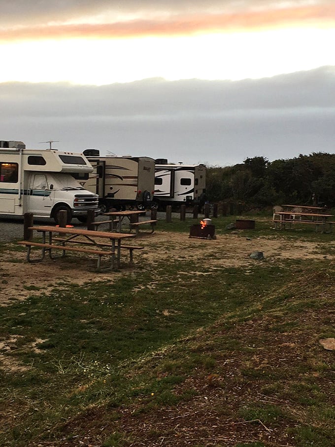 Sunset chasers and wave watchers find their temporary home at South Jetty's camping areas—front-row seats to nature's nightly show. 