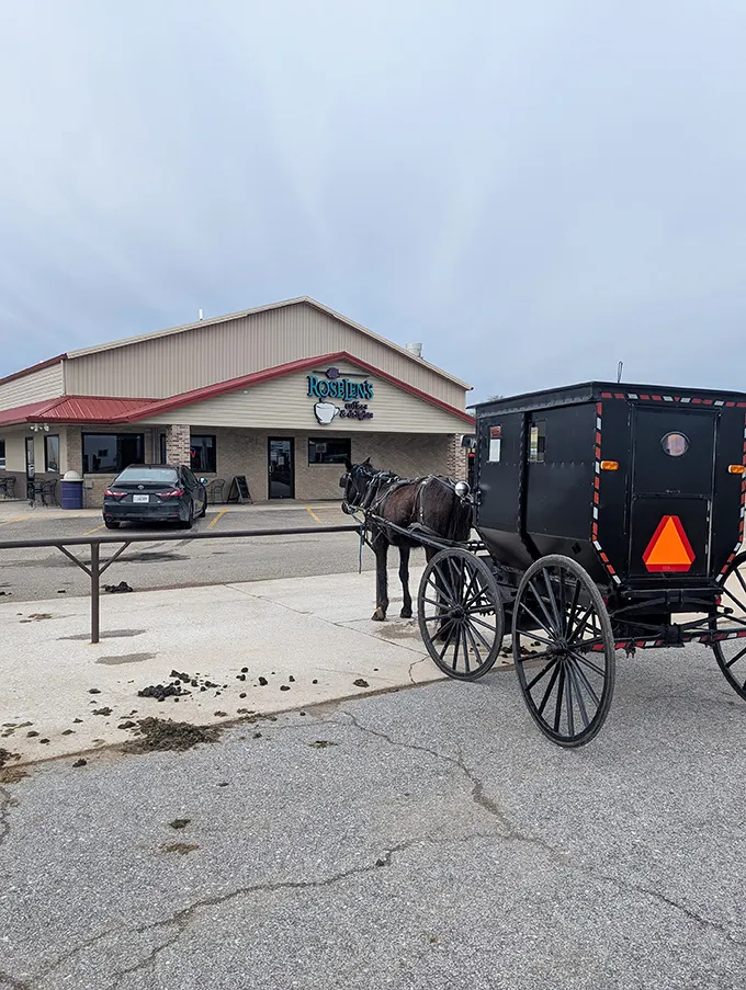 The horse knows the way—Amish transportation patiently waiting outside a modern coffee shop creates the perfect portrait of Arthur's gentle cultural blend.