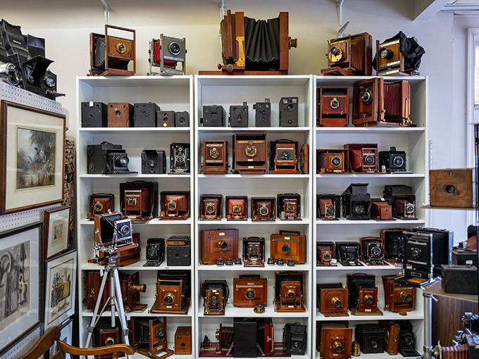 A wall of wooden wonders! These aren't just cameras; they're time capsules from when photography was equal parts science, art, and furniture craftsmanship.