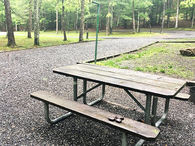 The original outdoor dining experience—where the ambiance is five-star even when your meal comes from a cooler.