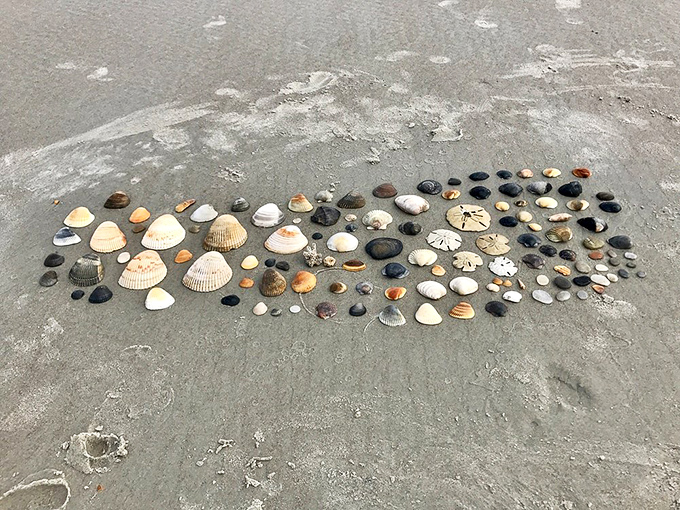 Beach treasures arranged with deliberate care – someone's artistic meditation on the infinite variety of nature's designs.