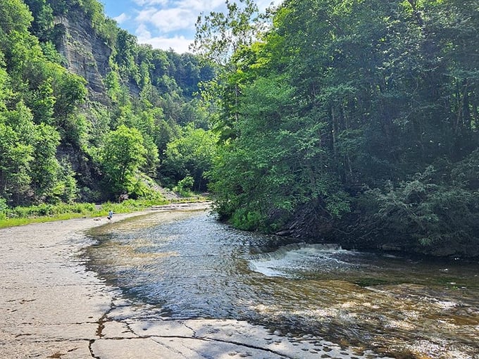 The creek carves its patient path through stone—an artist that's been working on the same masterpiece for thousands of years.