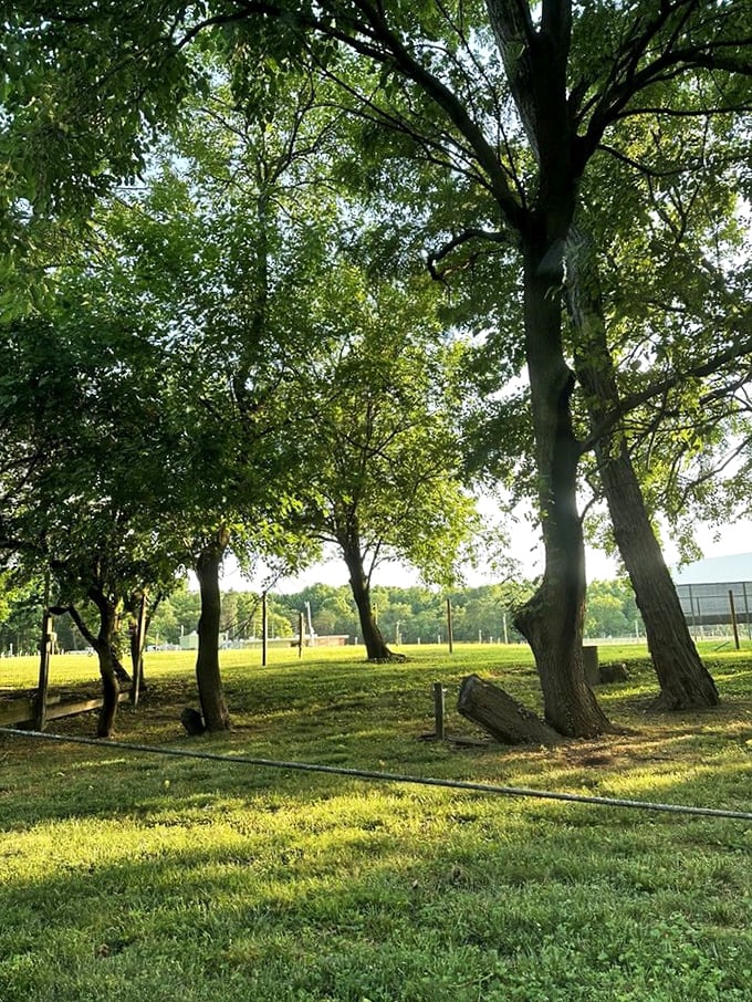 The surrounding trees don't just provide privacy—they're silent guardians of countless first dates, family outings, and memories spanning generations.