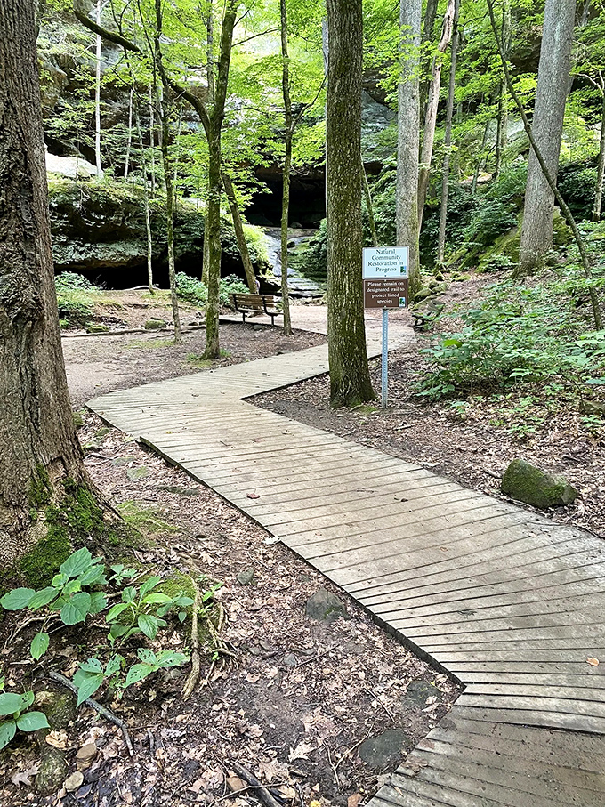 This wooden boardwalk isn't just accessible—it's an invitation to discover hidden wonders without disturbing the delicate ecosystem beneath.
