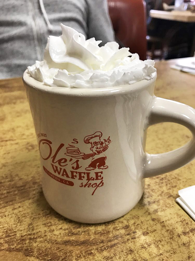 That's not just whipped cream on hot chocolate—it's the literal cherry on top of Ole's commitment to doing simple things extraordinarily well. 