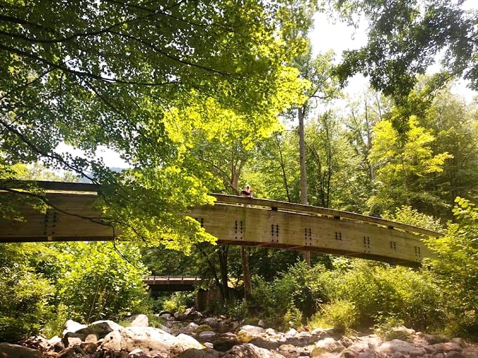 This rustic bridge invites visitors to cross over to adventure, like something straight out of a storybook where magical forest creatures might ask you riddles.