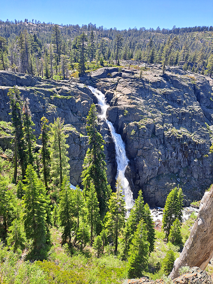 Frazier Falls plunges dramatically through granite cliffs – nature's own version of a spa waterfall, just slightly less convenient for facials.