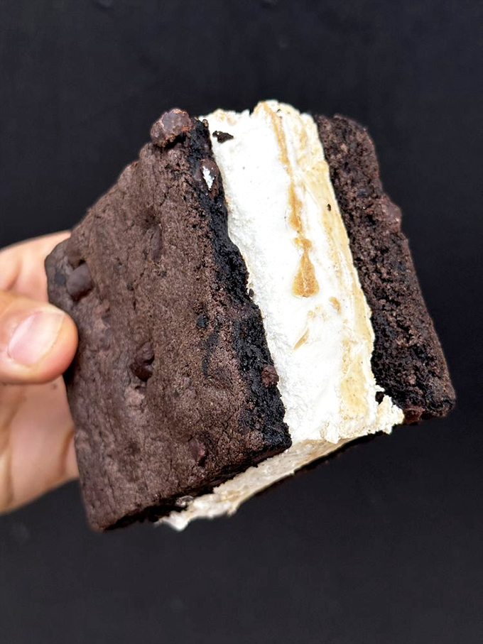 The ice cream sandwich reimagined as pure decadence—vanilla and caramel nestled between two chocolate cookies like a frozen hug for your taste buds.