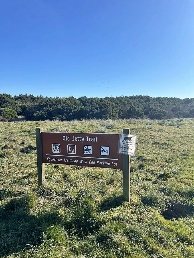 The Old Jetty Trail sign doesn't just mark a path—it promises adventures for hikers, equestrians, and four-legged friends alike. 