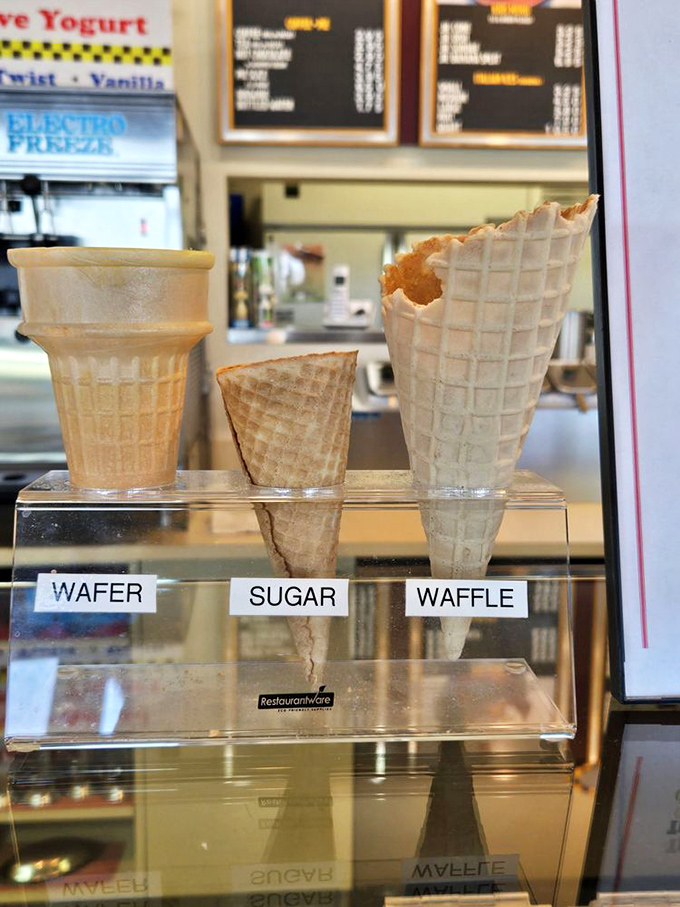 The cone trinity: wafer, sugar, and waffle—each a unique vessel for frozen delights, each waiting for you to make the most important decision of your day.