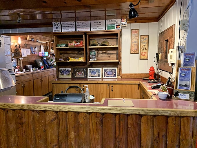 The mounted sailfish presides over smaller critters with a sign that reads "PLEASE DO NOT FEED THE ANIMALS" – sage advice for taxidermy appreciation.