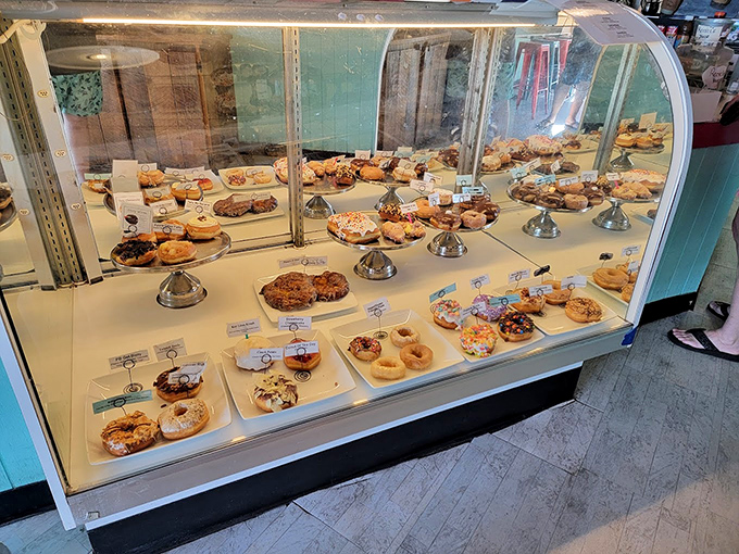 The display case—a museum of donut artistry where each pedestal showcases masterpieces more tempting than any Renaissance painting.