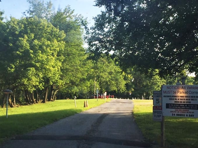 The entrance road isn't just a path to parking—it's a portal separating our hyper-connected world from this analog oasis of shared experience.